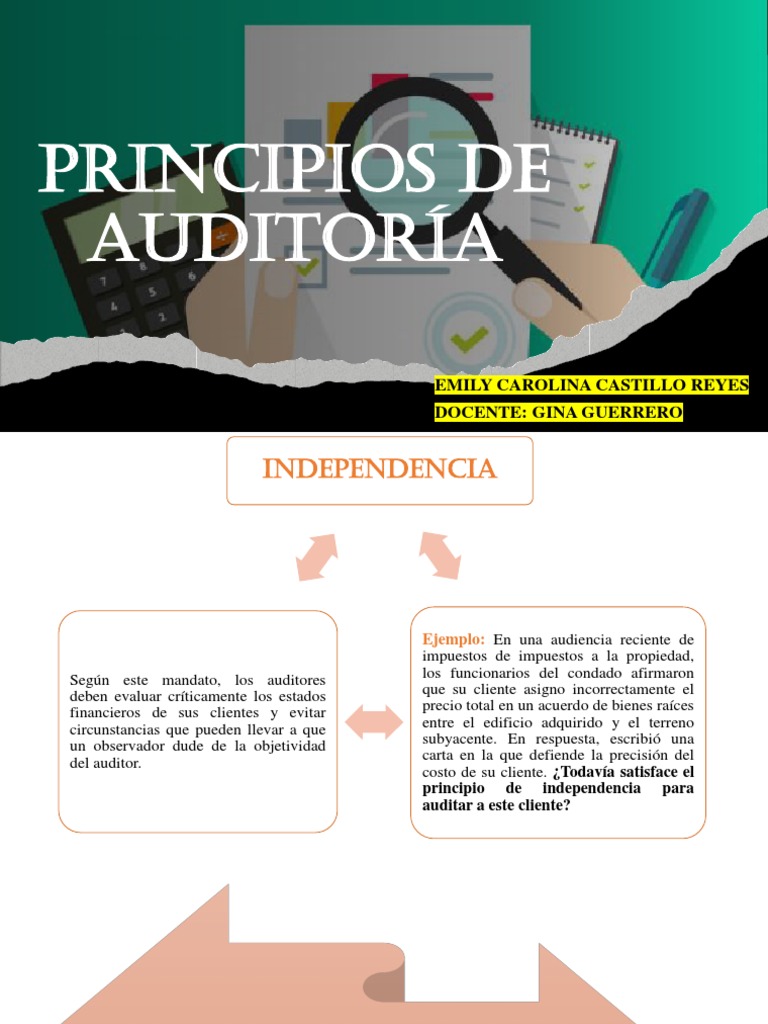 Principios de Auditoría | PDF | Auditoría | Contralor