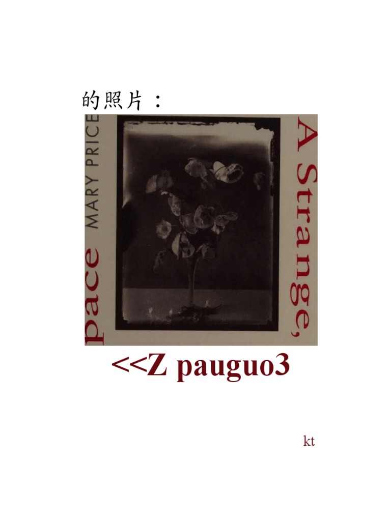 Mary Price - The Photograph A Strange, Confined Space ZH | PDF