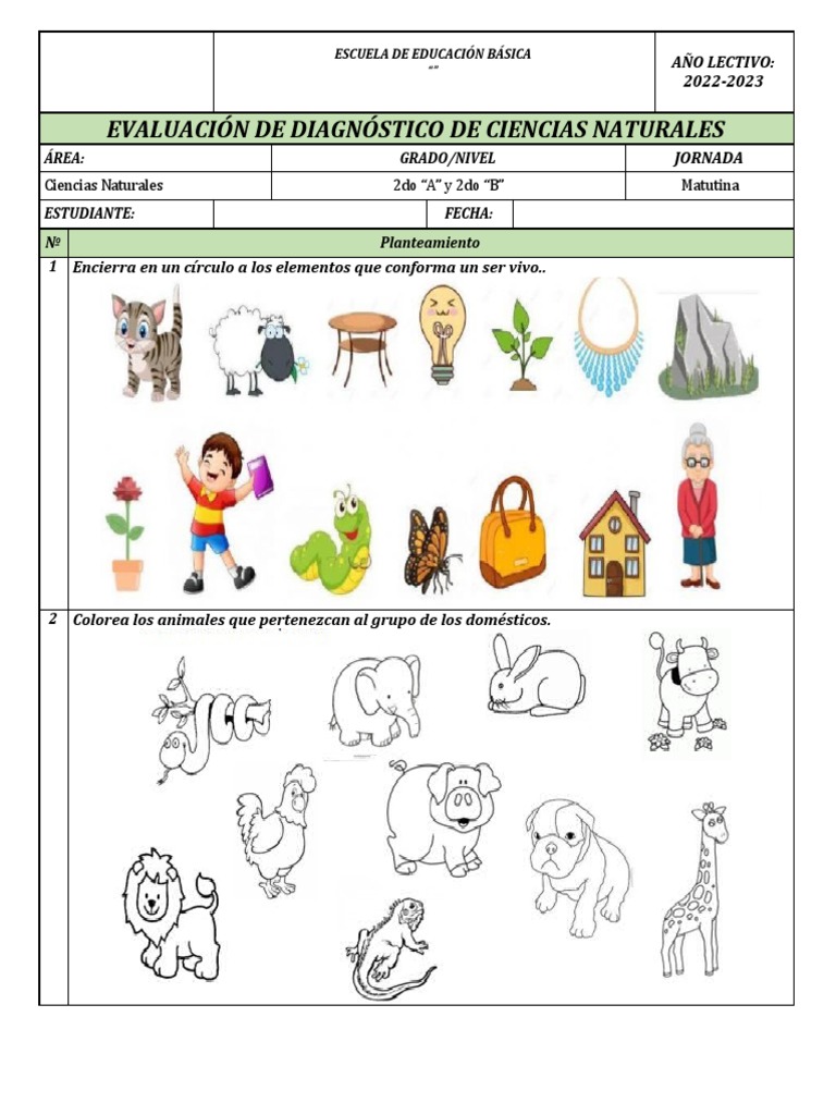 CCNN- DIAGNOSTICAS - | PDF
