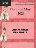 Bicol Divino Rostro Novena | PDF