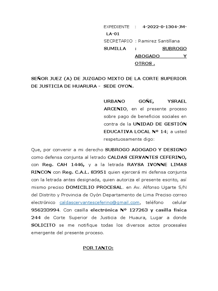 Apersonamiento de Defensa Conjunta | PDF