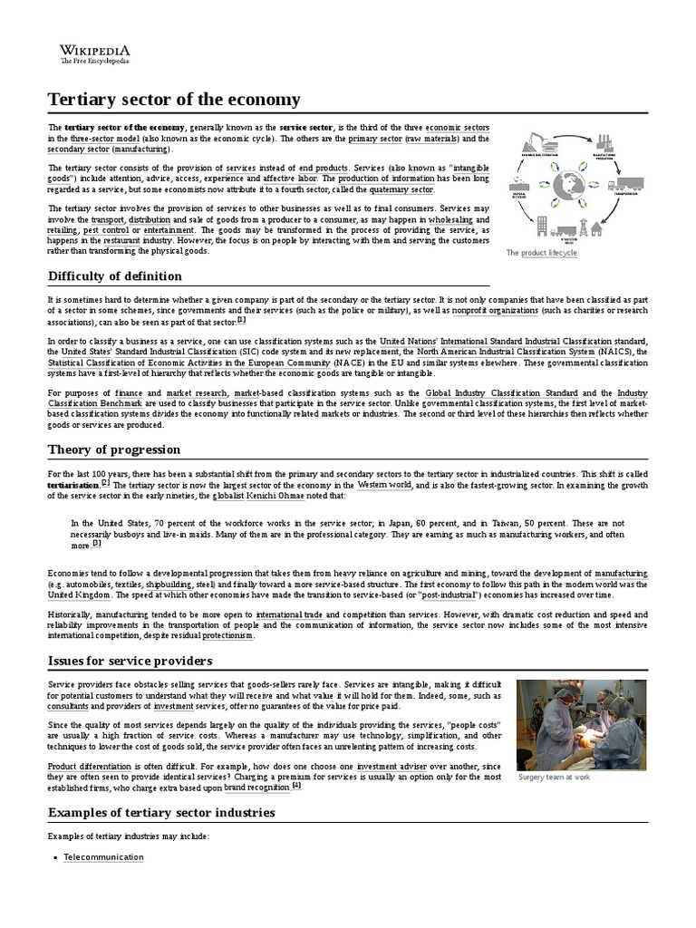 Tertiary Sector of The Economy | PDF | Tertiary Sector Of The Economy ...