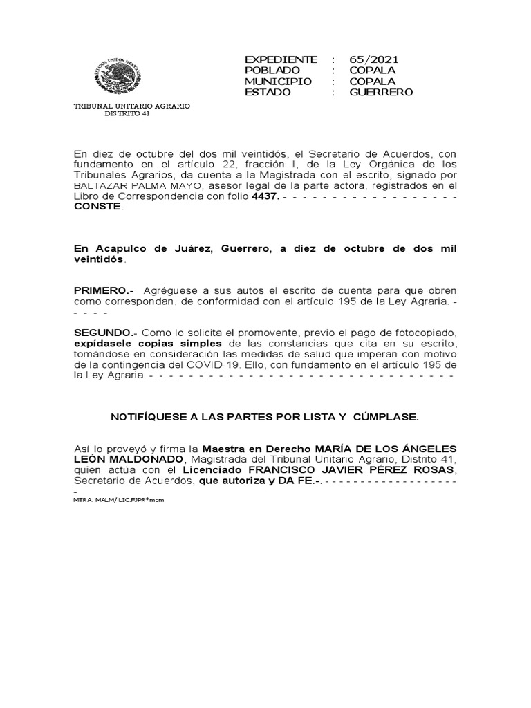 A Copias Simples - 65-2021 | PDF