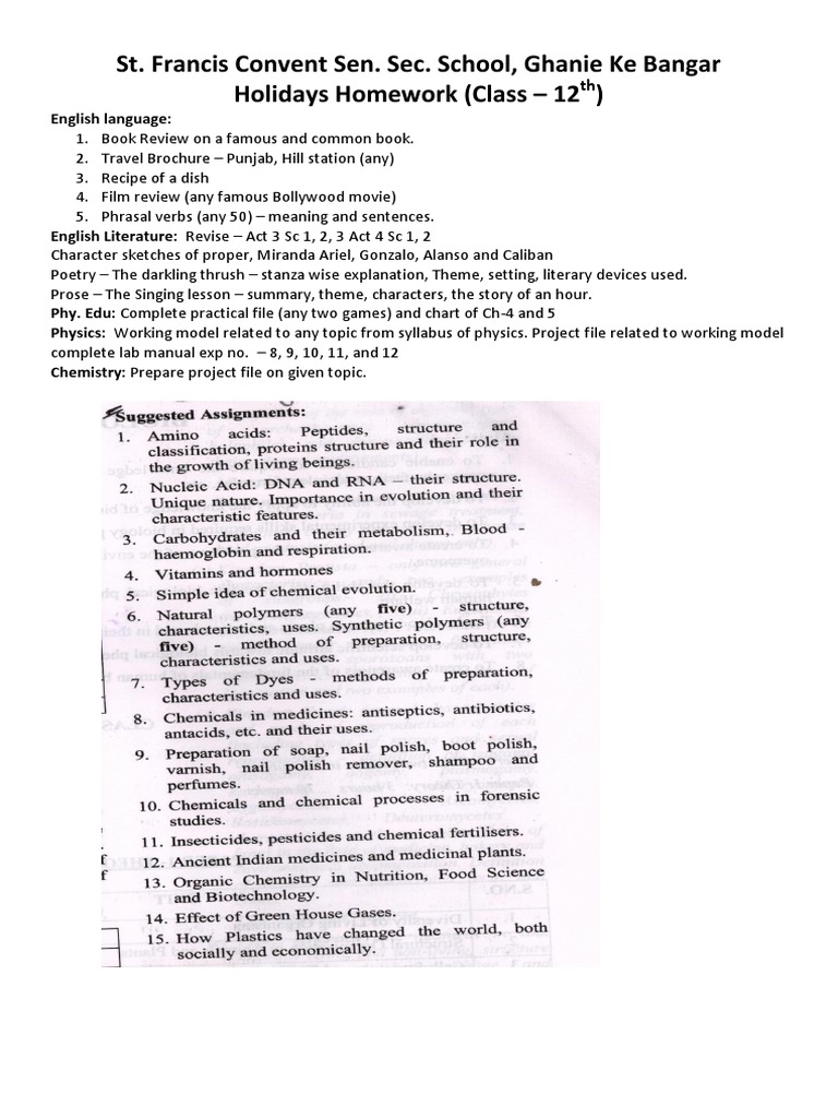 Holidays Homework Class (12th) | PDF