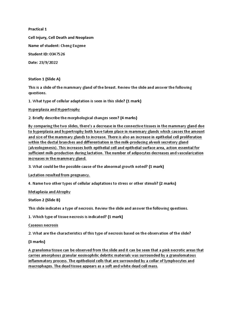 Human Patho Practical 1 Worksheet | PDF | Inflammation | Necrosis