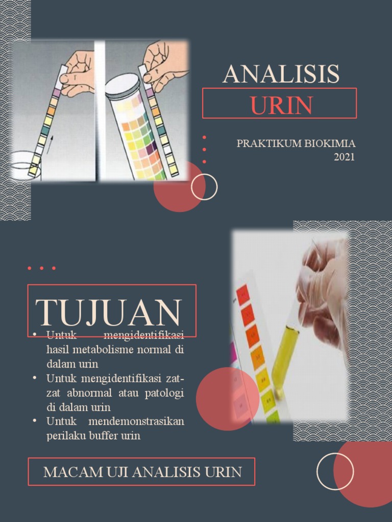 Acara 5 Analisis Urin + Pendahuluan | PDF