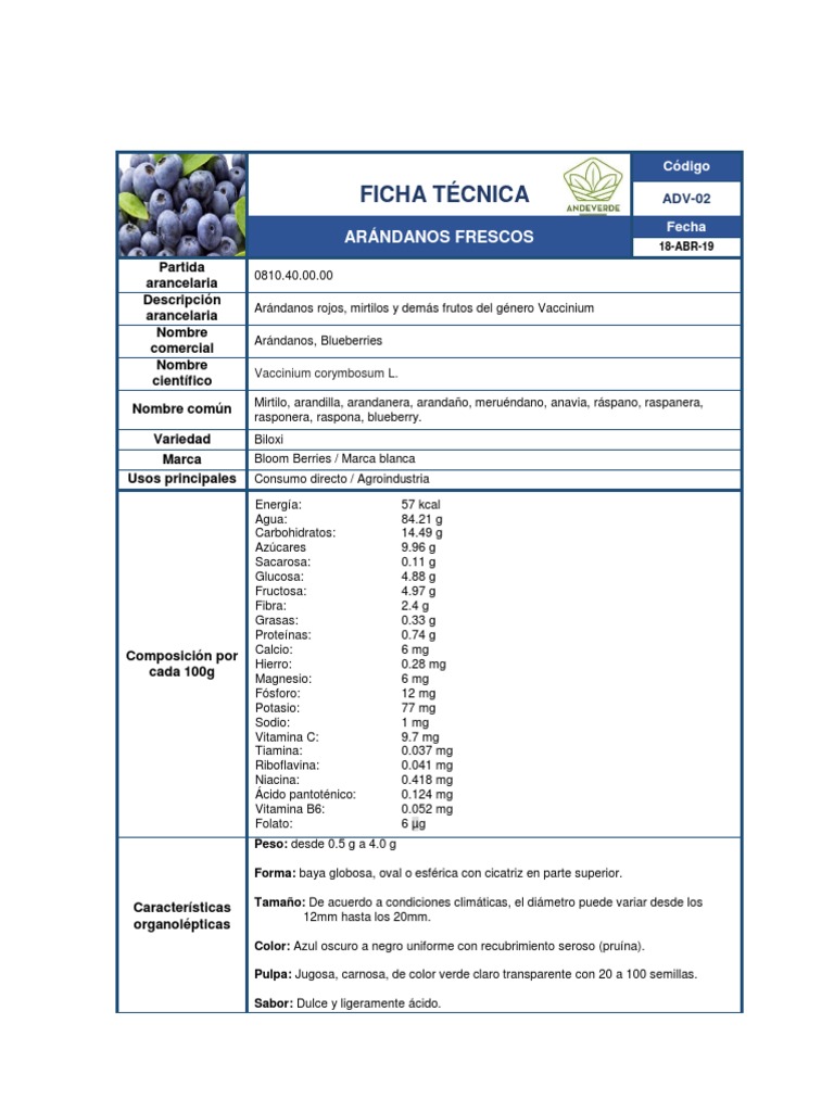 Ficha Técnica Arándanos Frescos | PDF | Nutrición | Dieta y nutrición