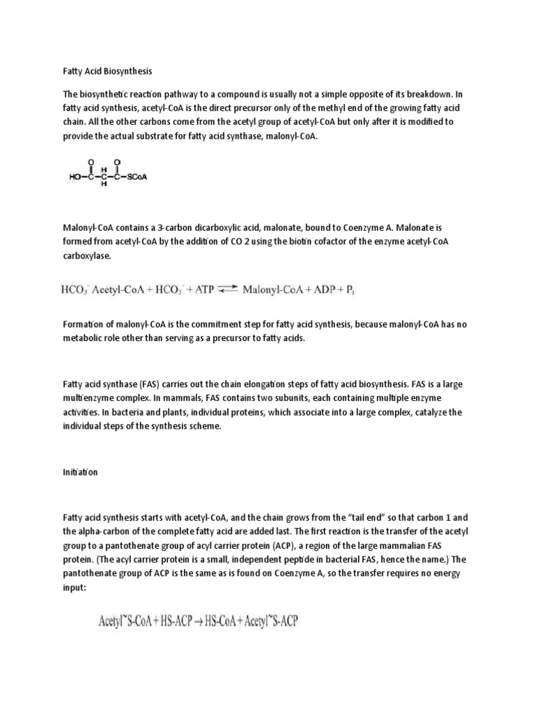 Fatty Acid Biosynthesis Pathway Overview | PDF | Biosynthesis ...