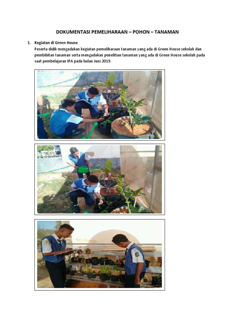 Dokumentasi Penanaman Dan Pemeliharaan Pohon Dan Tanaman | PDF