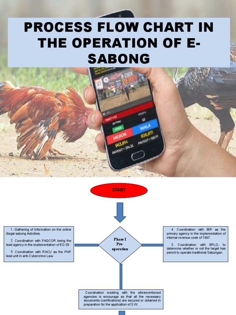E Sabong Flow Chart | PDF | Search Warrant | Police