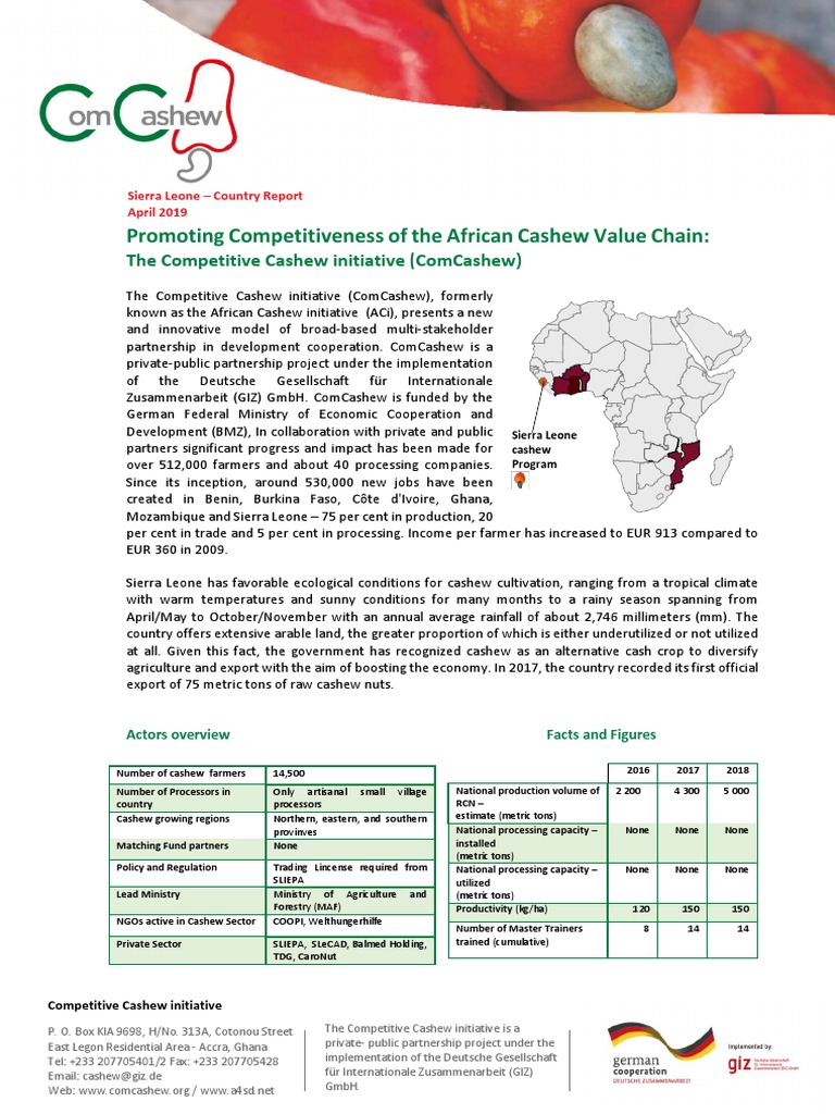 Country Factsheet Sierra Leone ENG CASHEW | PDF | Economies | Agriculture