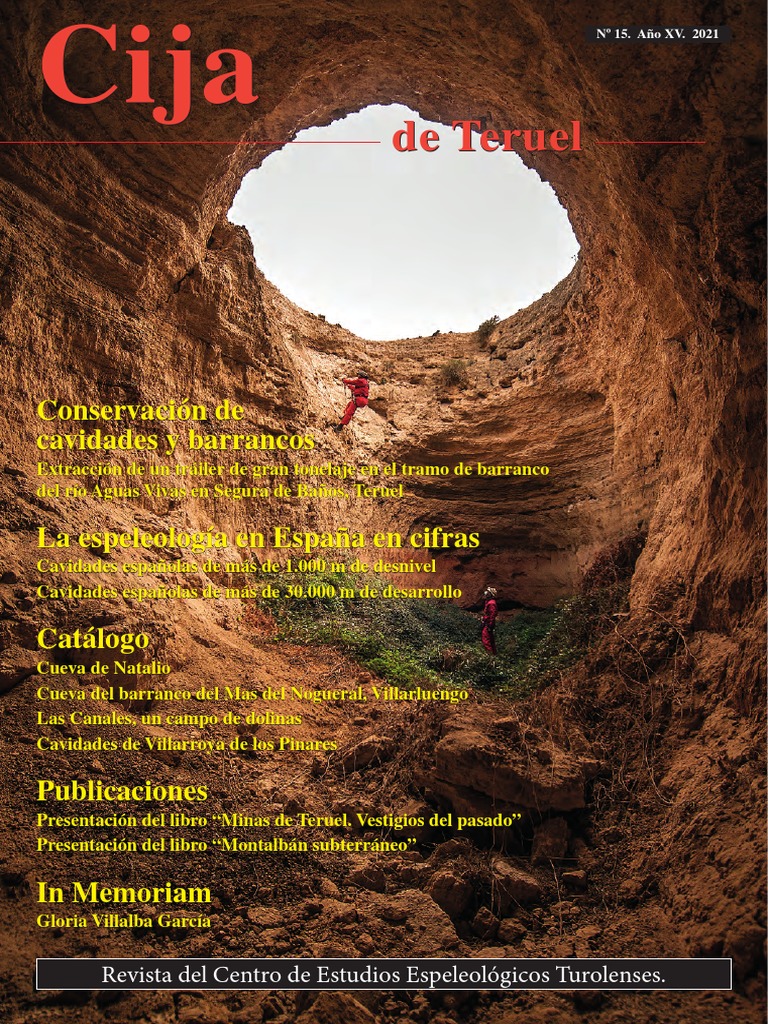 CIJA 15 Web | PDF