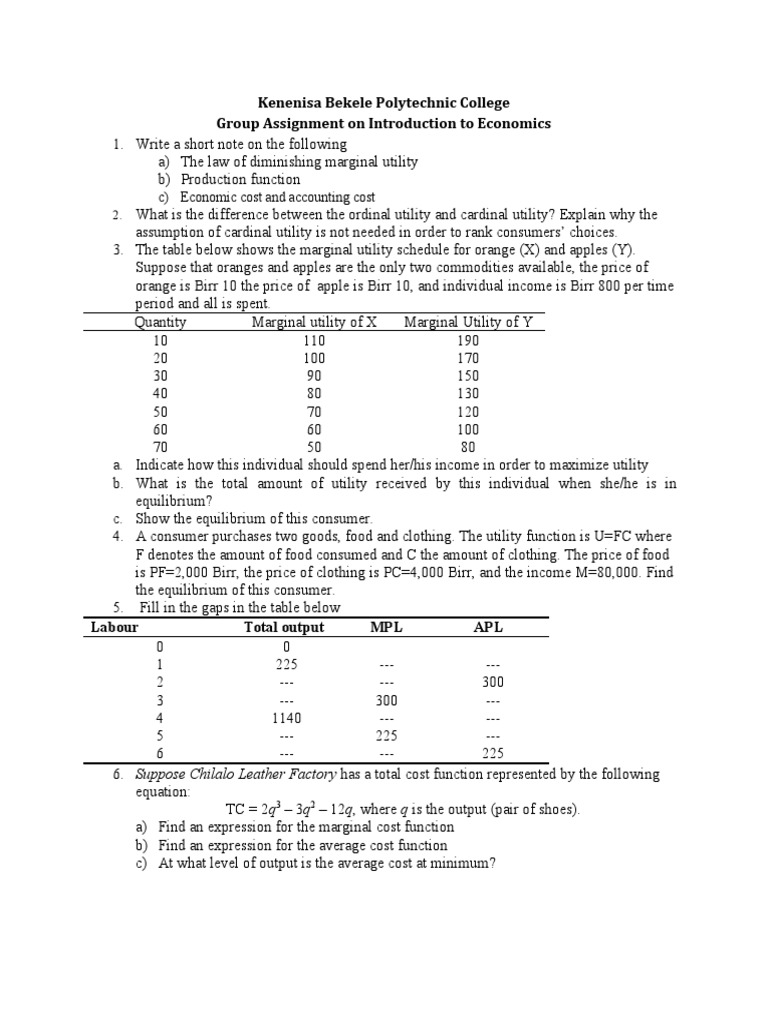 Introduction To Economics Group Assignment Kenenisa | PDF | Utility | Economic Equilibrium