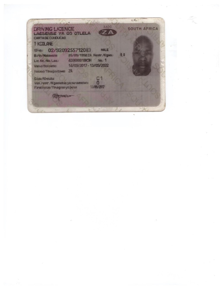 DRIVERS LICENSE | PDF