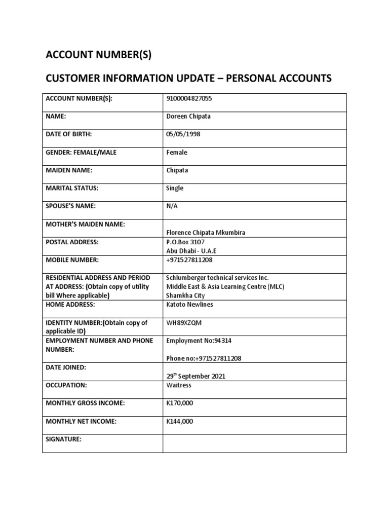 Customer Information Update | PDF