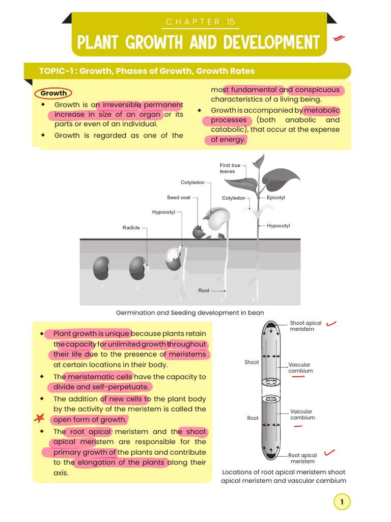 Plant Growth and Development | Download Free PDF | Plant Hormone | Auxin