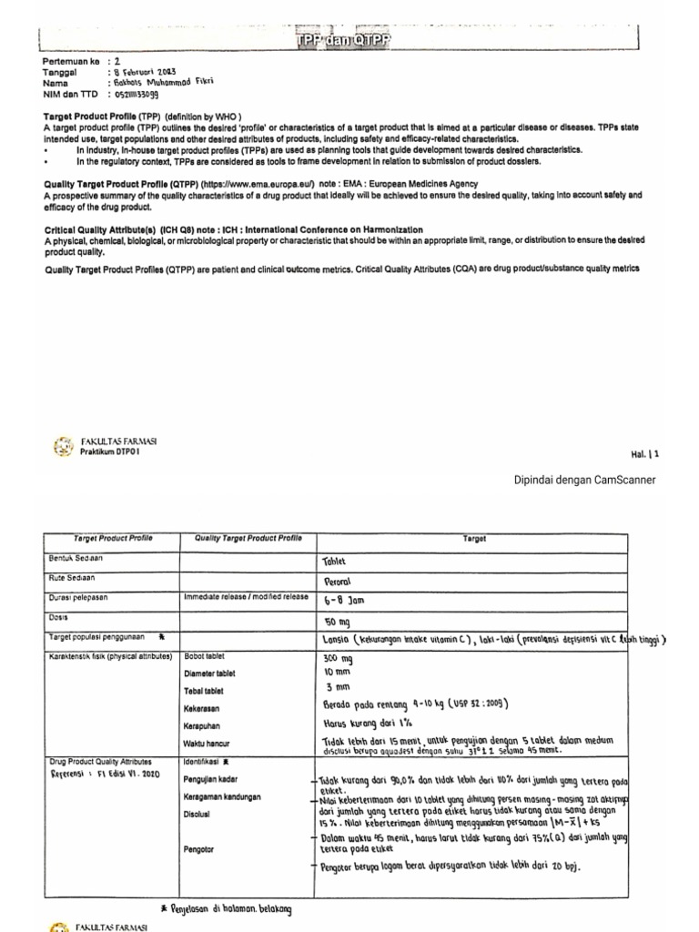(DTPO P) Project 2 | PDF