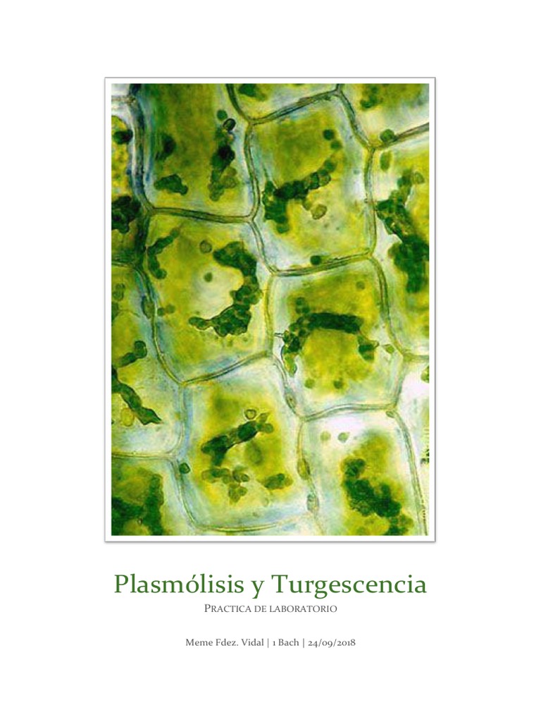 Plasmólisis y Turgescencia | PDF | Ciencias fisicas | Física Aplicada e ...