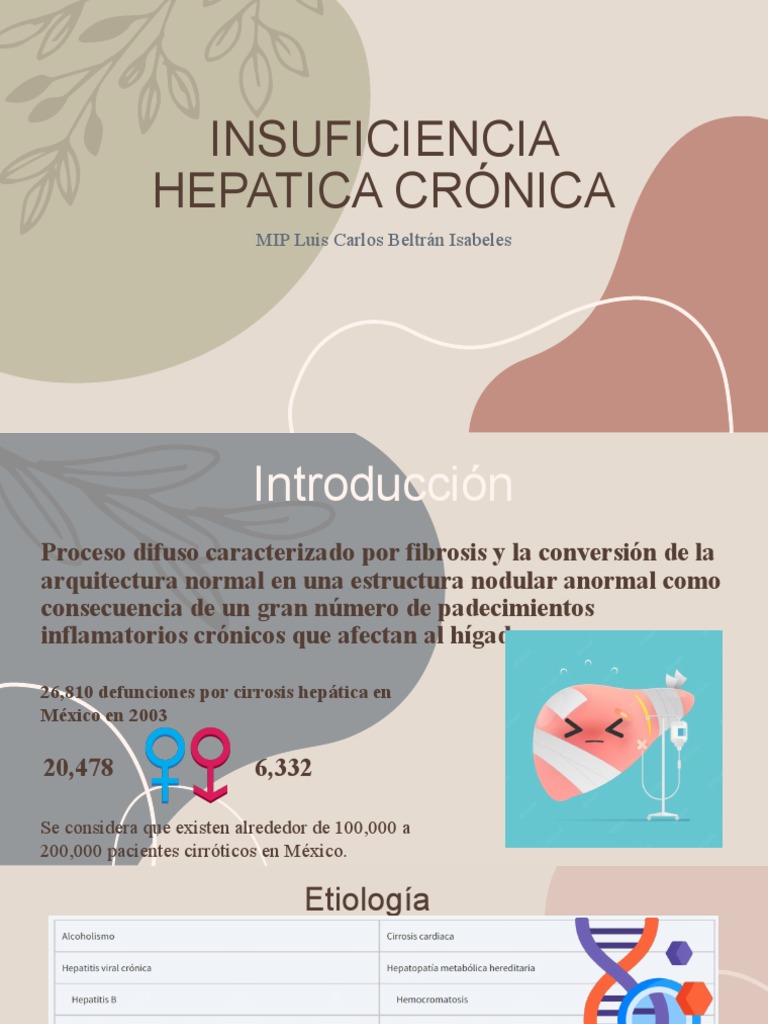 Insuficiencia Hepatica Crónica | PDF | Cirrosis | Especialidades Medicas