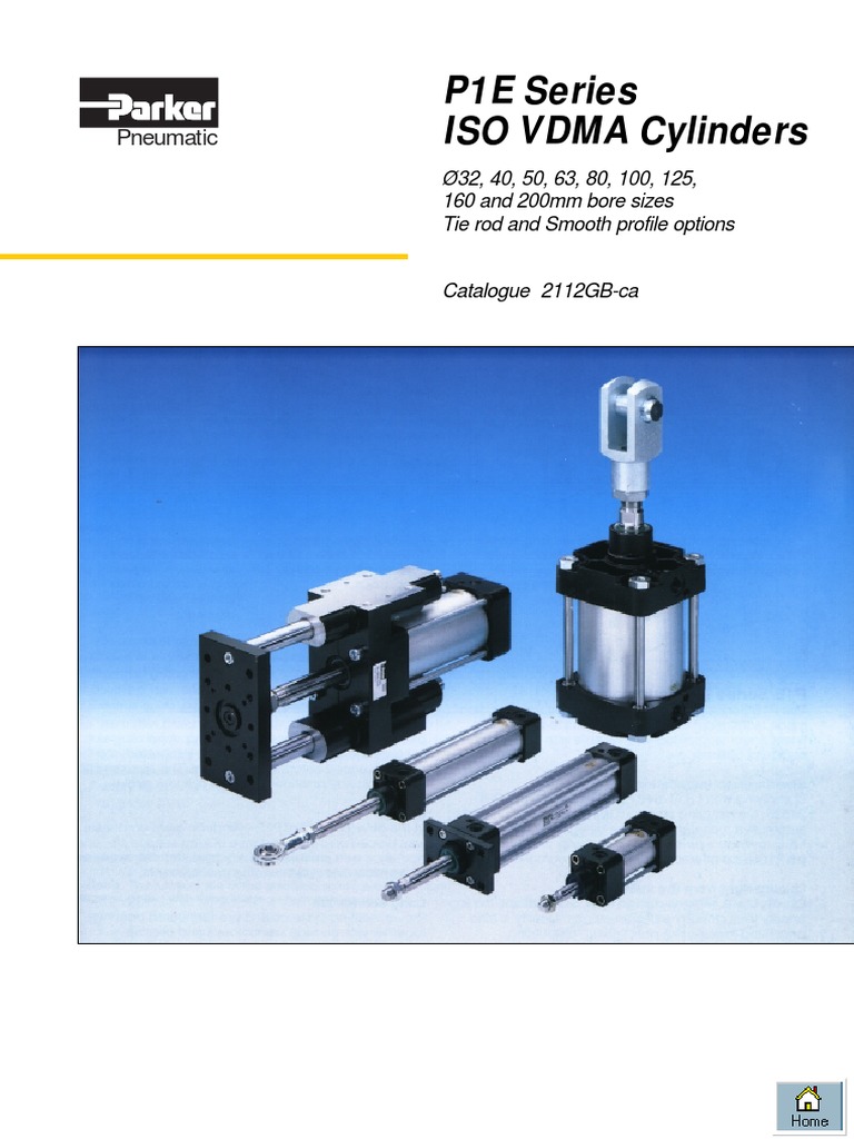 P1E ISO Cylinders | Download Free PDF | Piston | Cylinder (Engine)