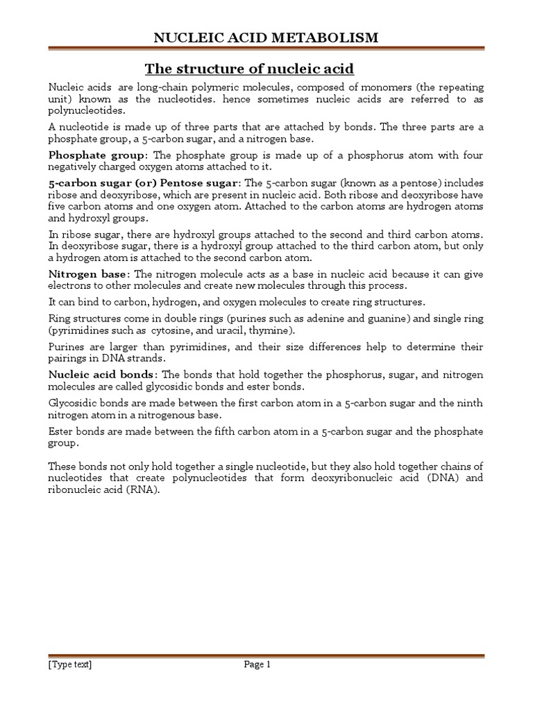 Nucleic Acid Metabolism | PDF | Nucleotides | Rna