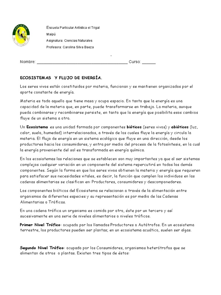 guía ecosistemas y flujo de energía | PDF | Ecosistema | Red alimentaria