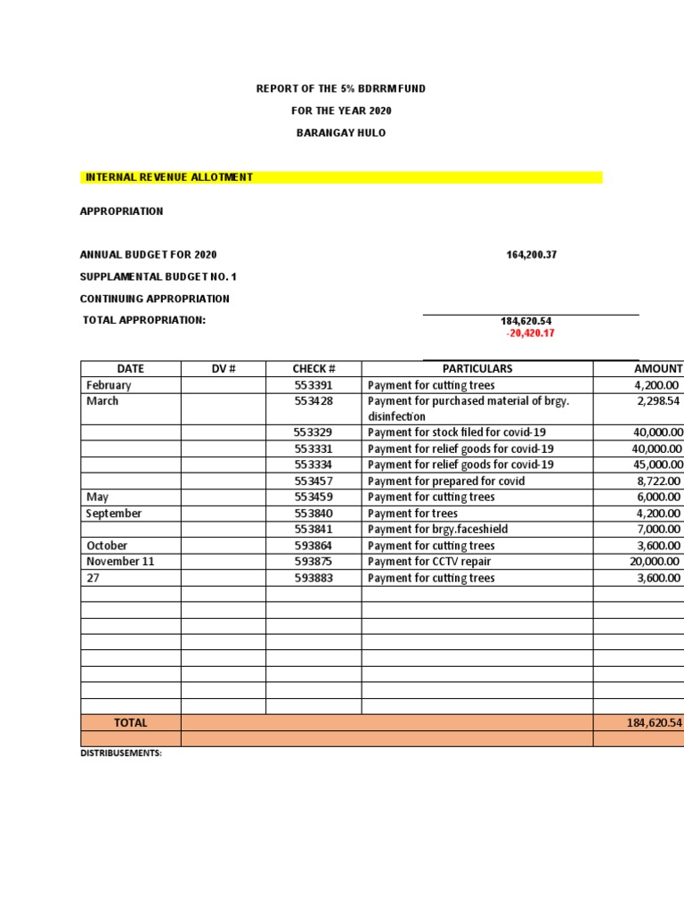 Report of The Utilization 5% BDRRM | PDF