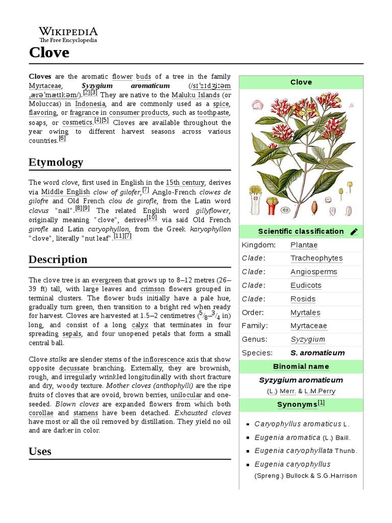 Clove | PDF | Clove
