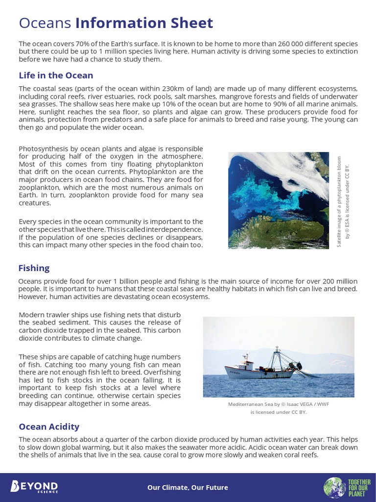 Oceans Information Sheet | PDF | Coral Reef | Oceans