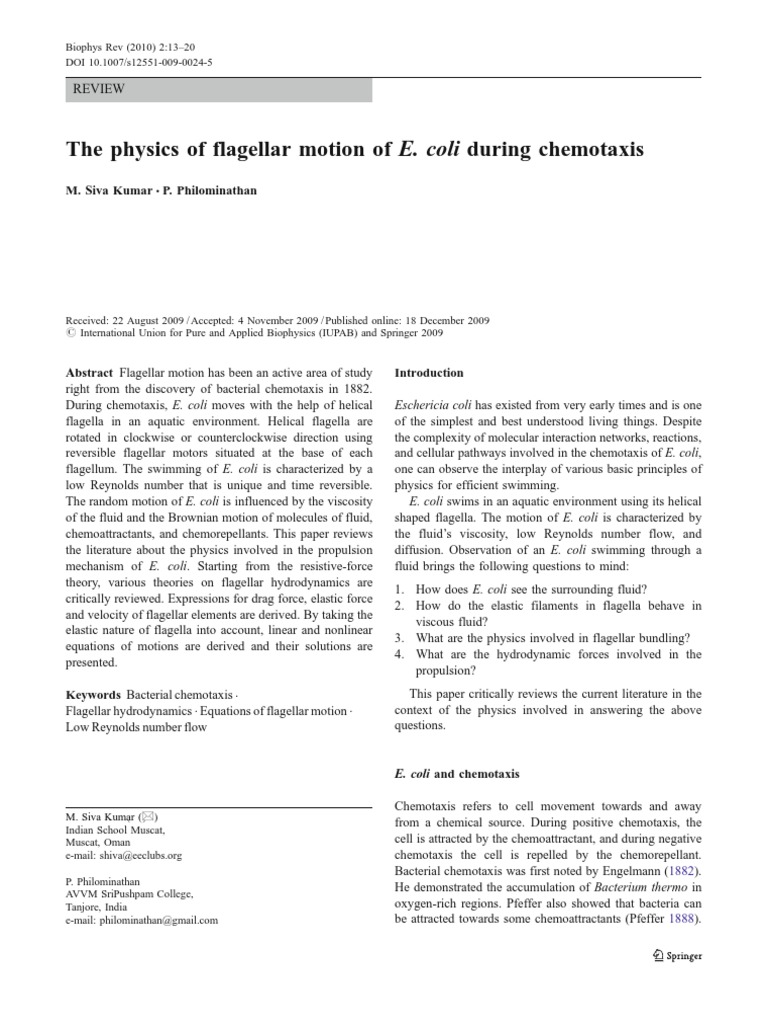 E. coli Flagellar Motion Physics | PDF | Chemotaxis | Diffusion