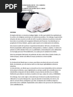 Propiedades y usos del talco mineral | PDF | Minerales | Roca (geología)