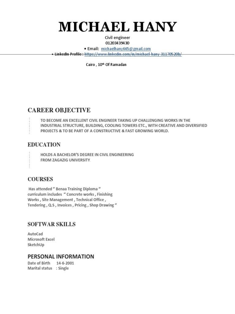 CV Michael Hany - 230519 - 121514 | PDF