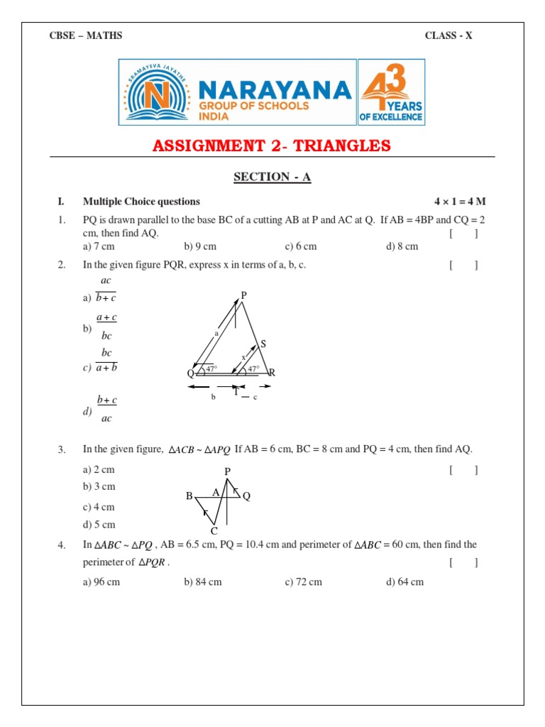 MATHS - 12th MAY TRIANGLES - Assignment | PDF | Triangle | Mathematics