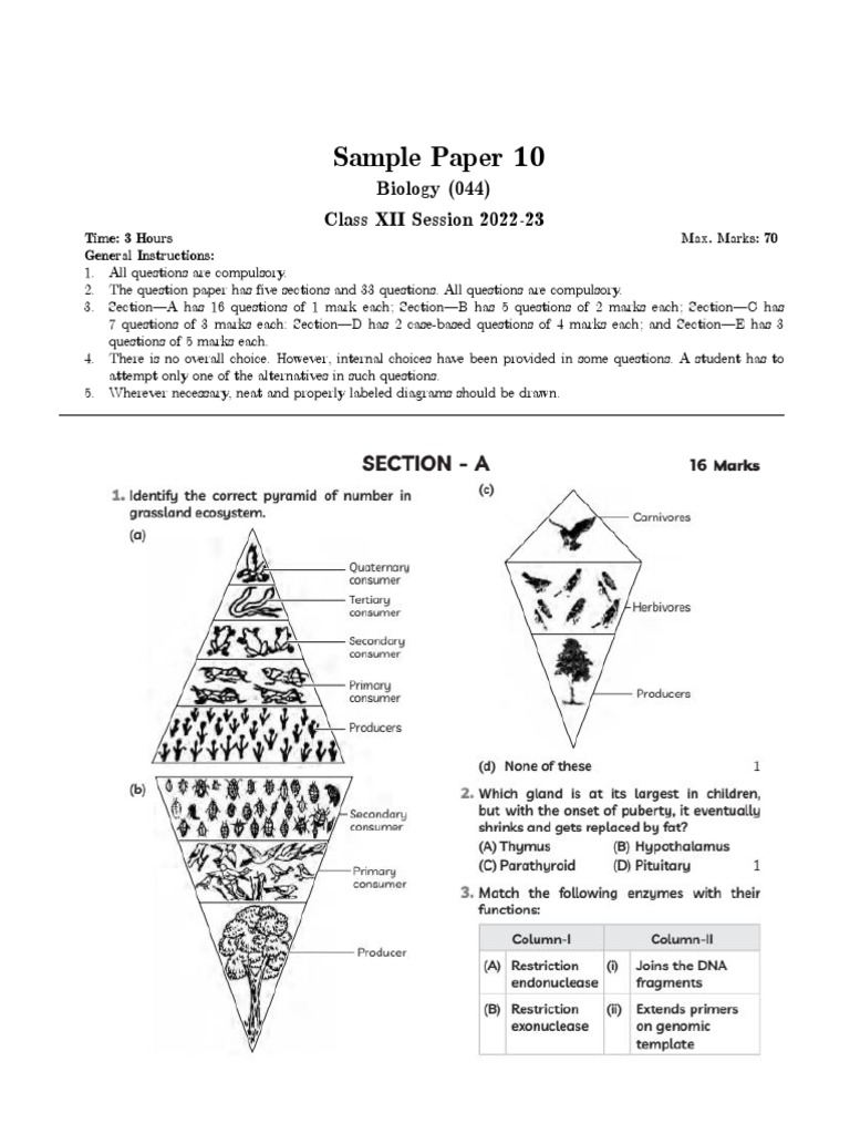 Sample Paper 10: Biology (044) Class XII Session 2022-23 | PDF