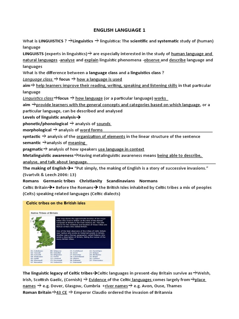 English Language 1 | PDF | Phoneme | English Language