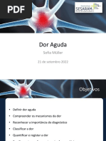 Escala Visual Analógica de Dor (EVA) | PDF | Finanças e Administração ...