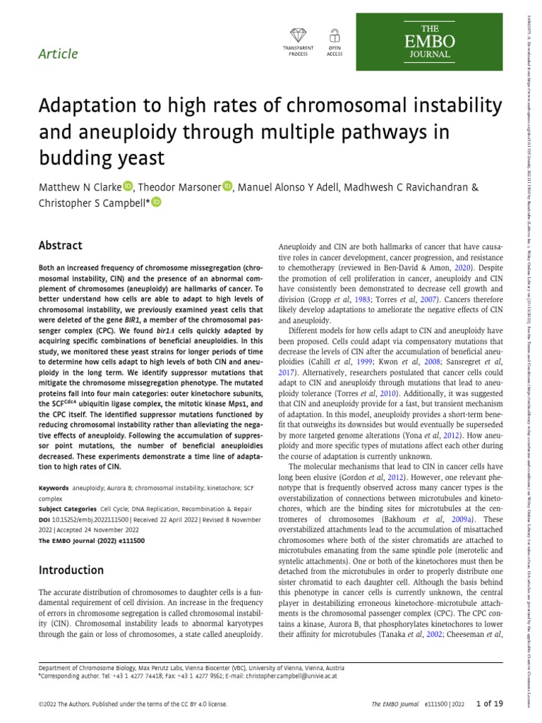Adaptation to high rates of chromosomal instability and aneuploidy ...