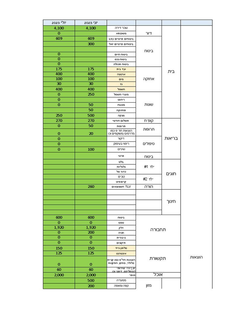 טבלת הוצאות והכנסות חתול פיננסי הגרסא המלאה Pdf
