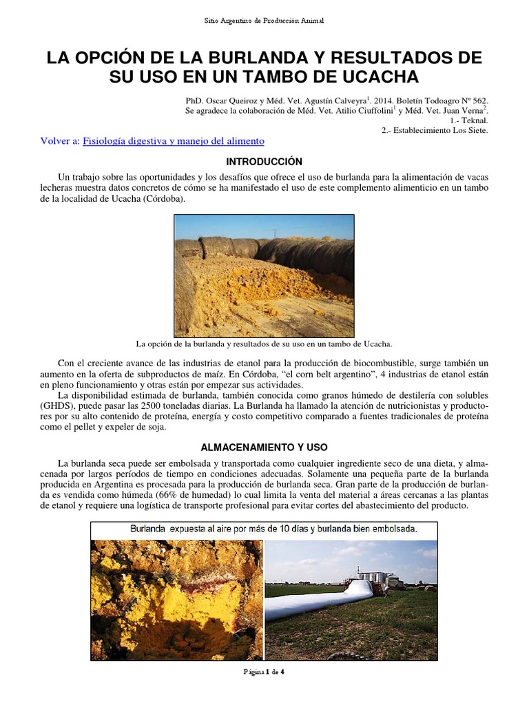 140-Burlanda Resultados | PDF | Dieta | Leche