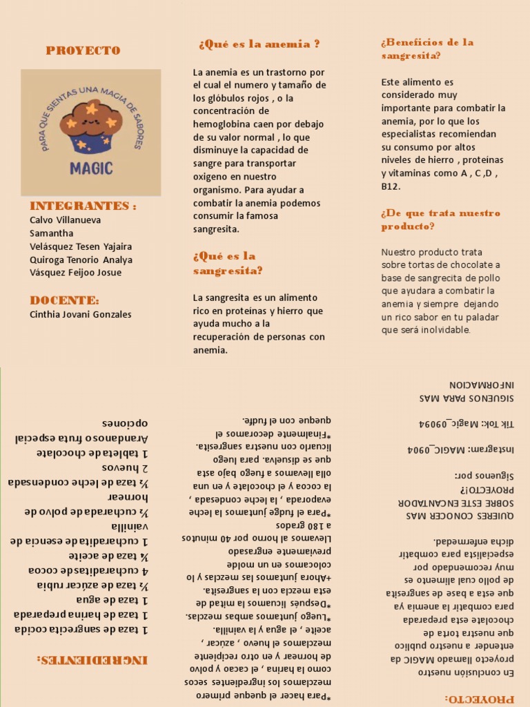 Triptico Proyecto Cyt 09 3 | PDF | Chocolate | Anemia
