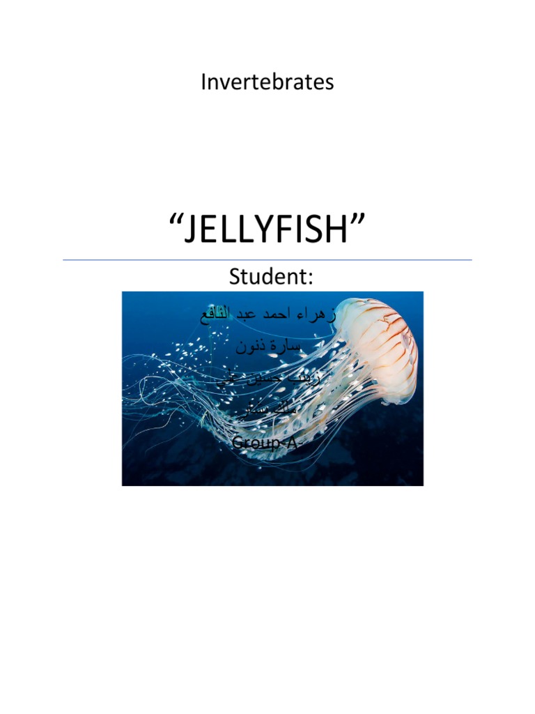 Invertebrates | PDF | Aquatic Animals | Organisms