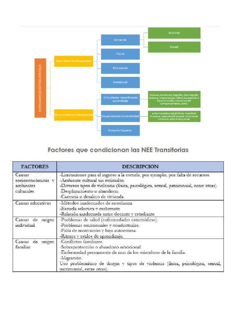 MAPA CONCEPTUAL CLASIFICACION DE LAS NEE | PDF
