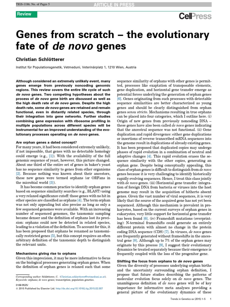 Genes From Scratch The Evolutionary Fate of de Novo Genes | PDF | Gene | Mutation