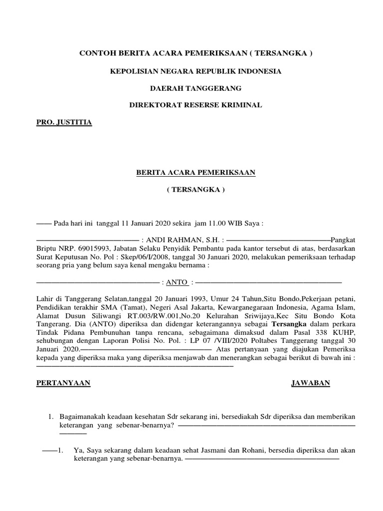 Contoh Berita Acara Pemeriksaan | PDF