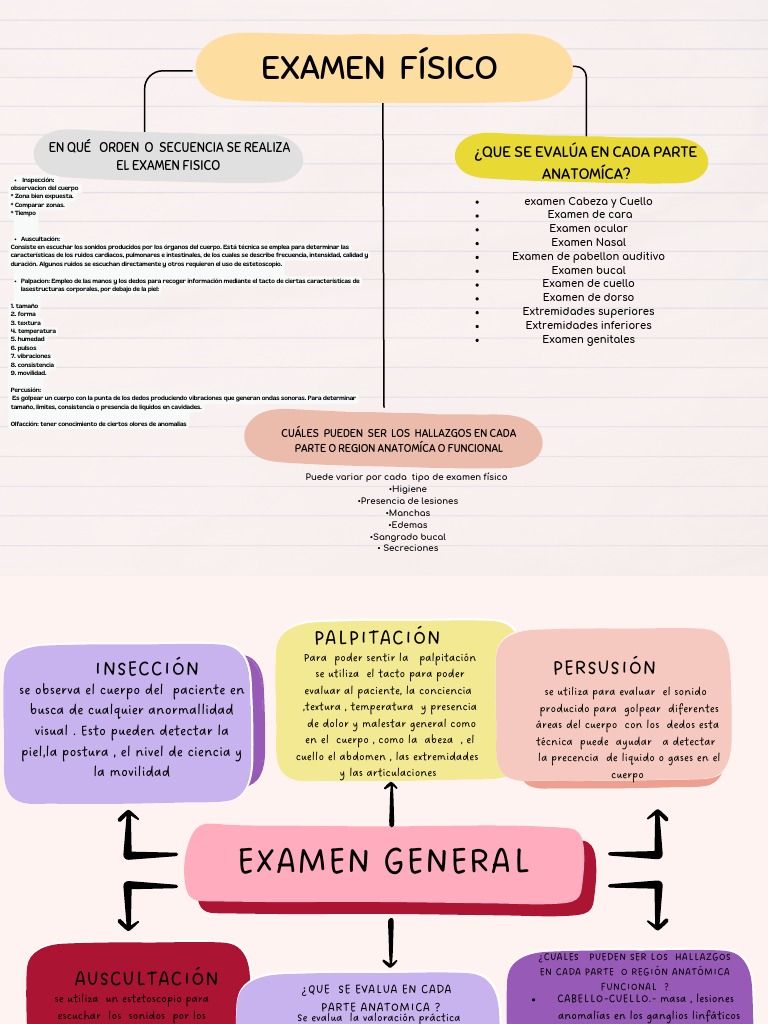 Mapa Conceptual Esquema Profesional Lineas Minimalista Multicolor | PDF | Sonido | Examen físico