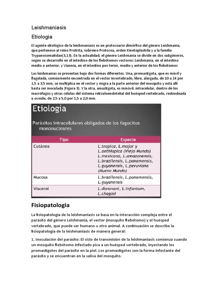 Leishmaniasis: Tipos y Síntomas | PDF | Sistema inmune | Leishmania