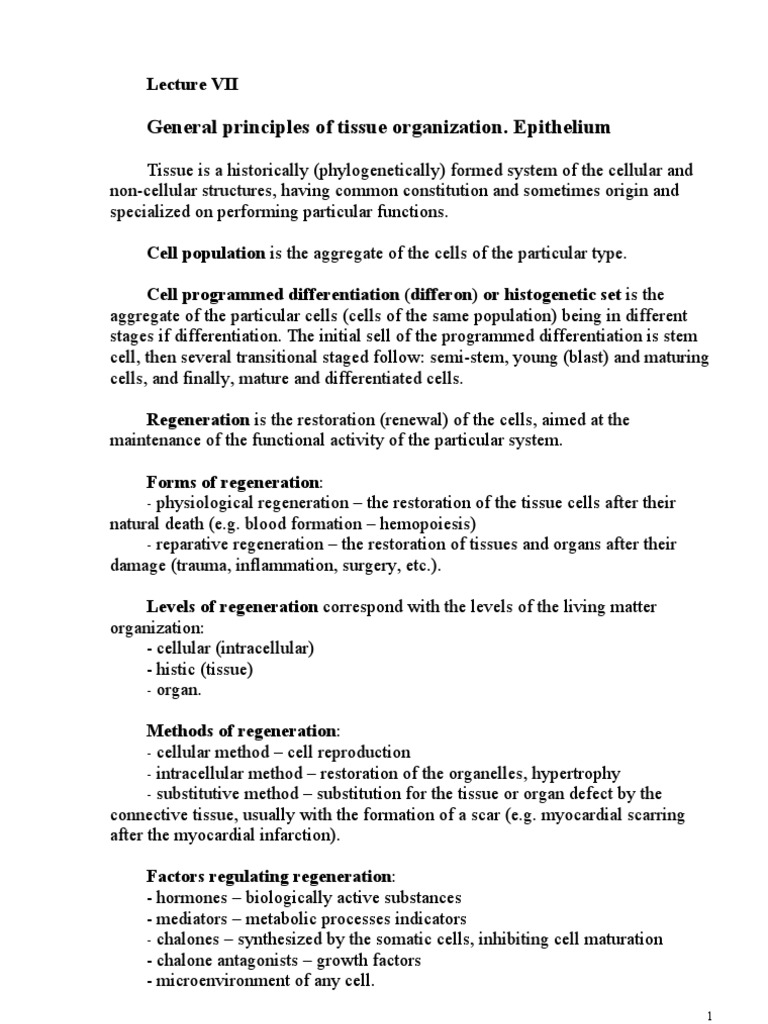 Lecture VII. General Principles of Tissue Organization. Epithelium ...