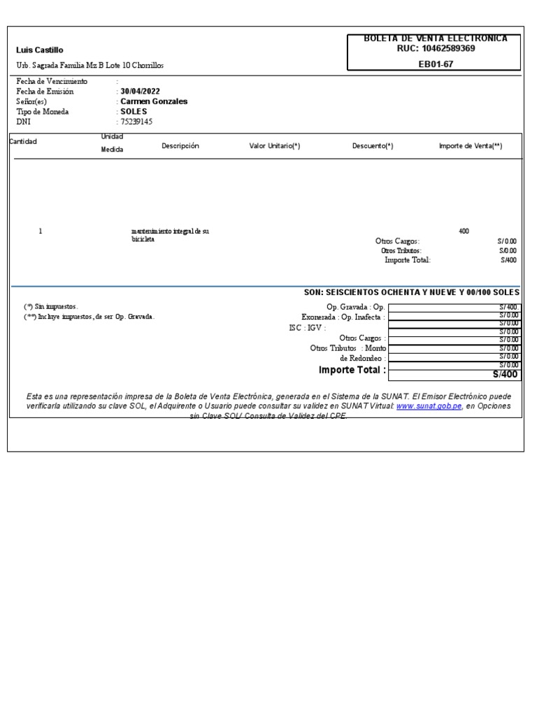 Boleta Plantilla | PDF