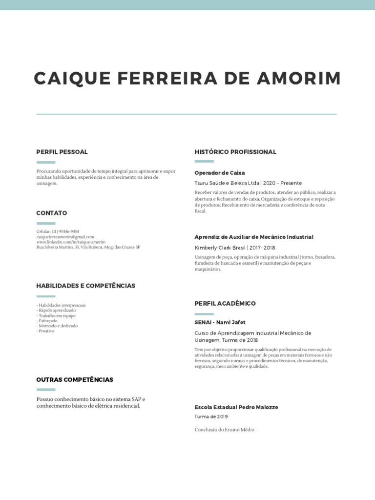 Curriculo - Caique Ferreira de Amorim | PDF | Máquinas | Desenvolvimento profissional