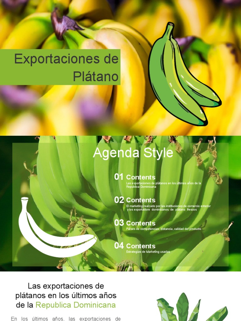 Exportacion de Platanos | PDF | Marketing | Mercado (economía)